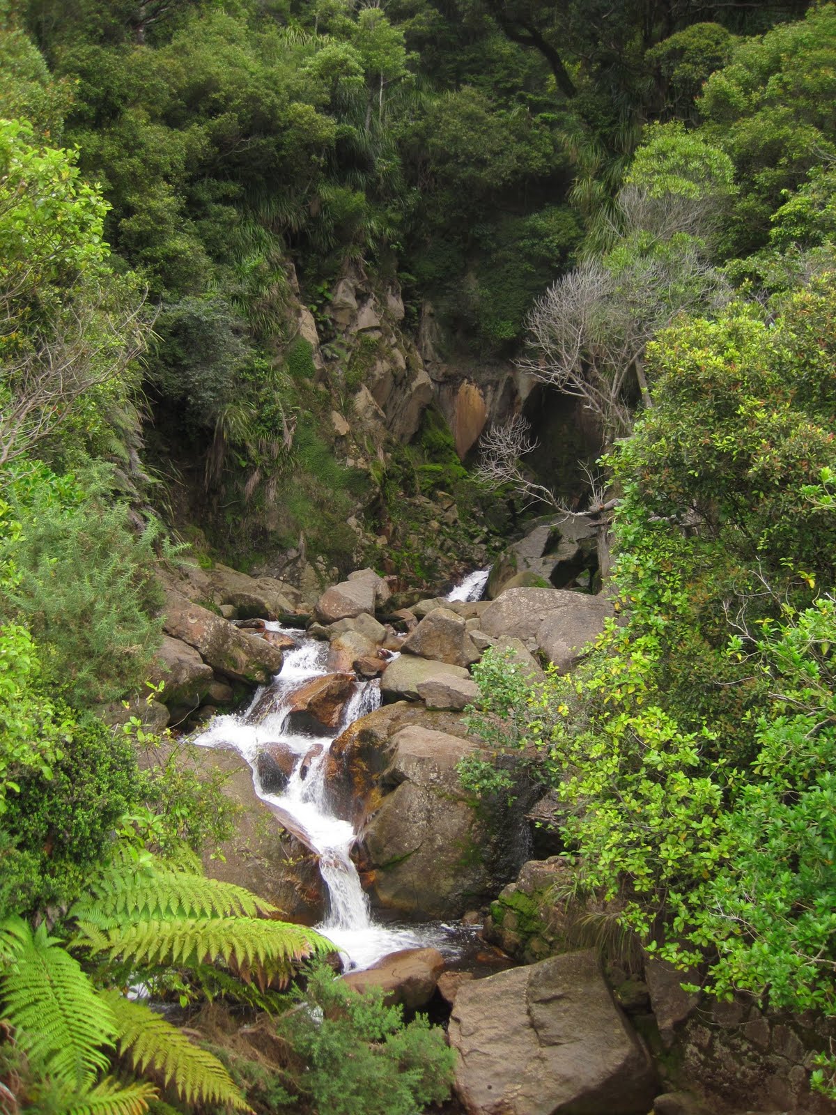 Carolyn in Aotearoa: The Mines of Millerton (Yes, Millerton, not Moria)