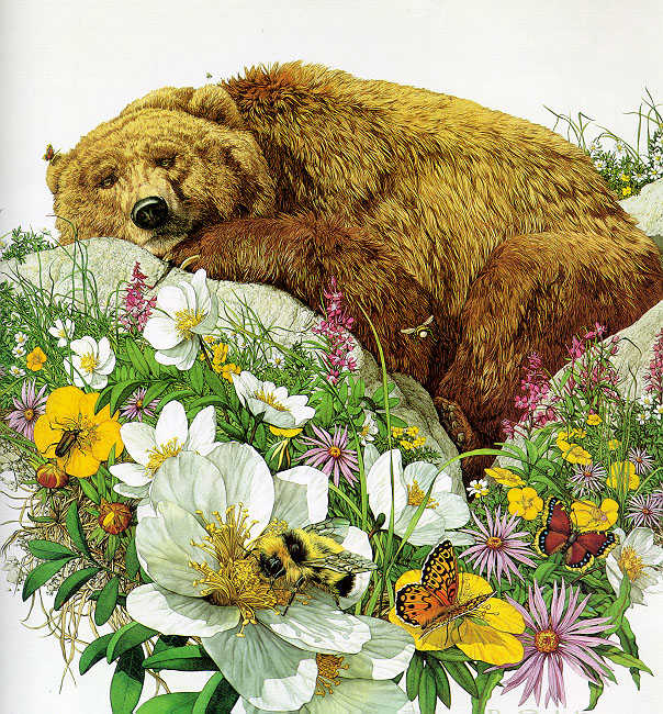 Artodyssey: Bev Doolittle