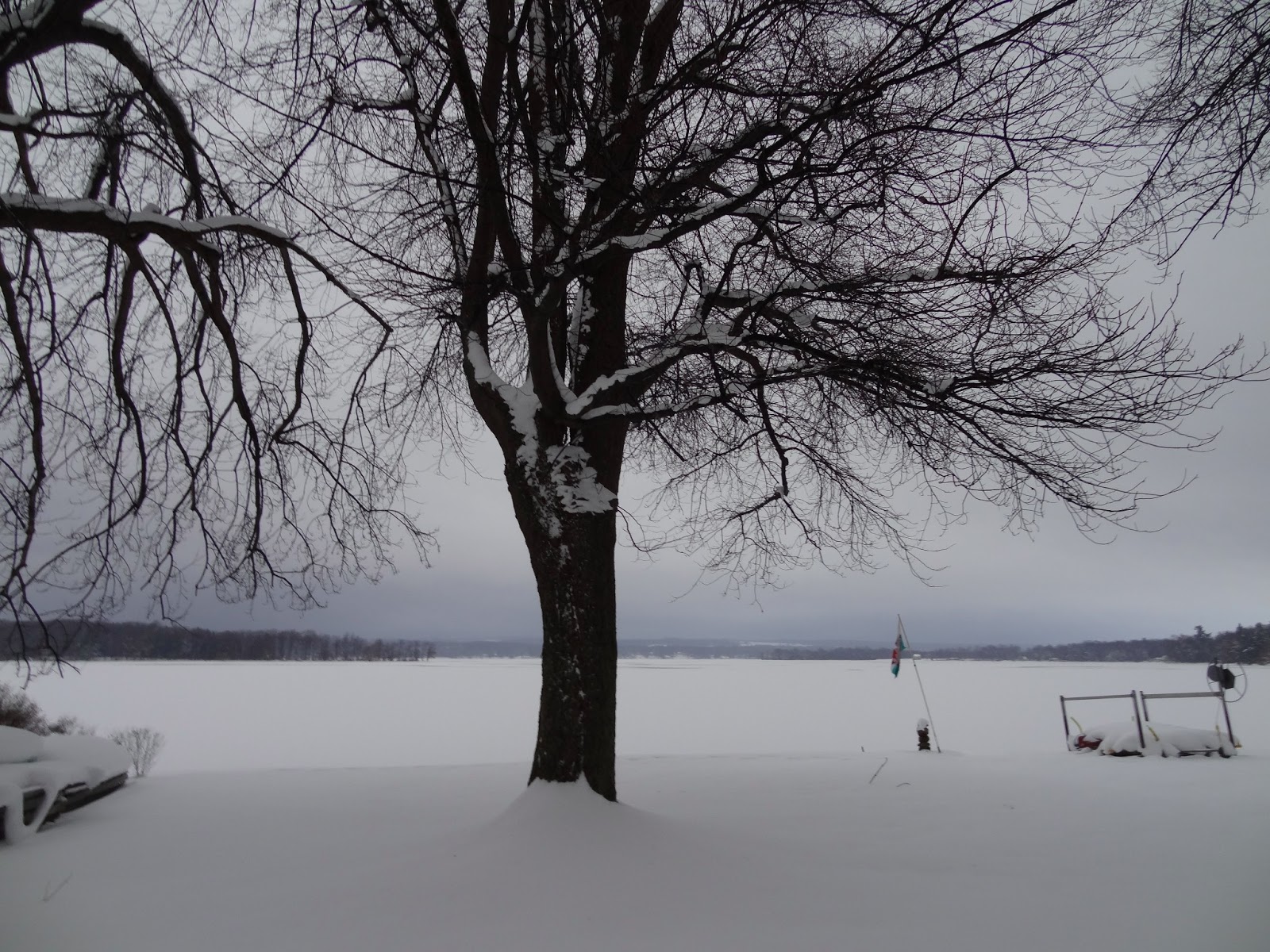 EARLY RISING ON CHAUTAUQUA LAKE: Gray, Slush, Rain...Ah Chautauqua