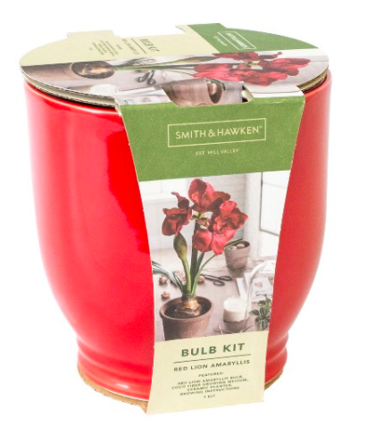 Target Addict: Sale Alert: Smith & Hawken Amaryllis Bulb Kit