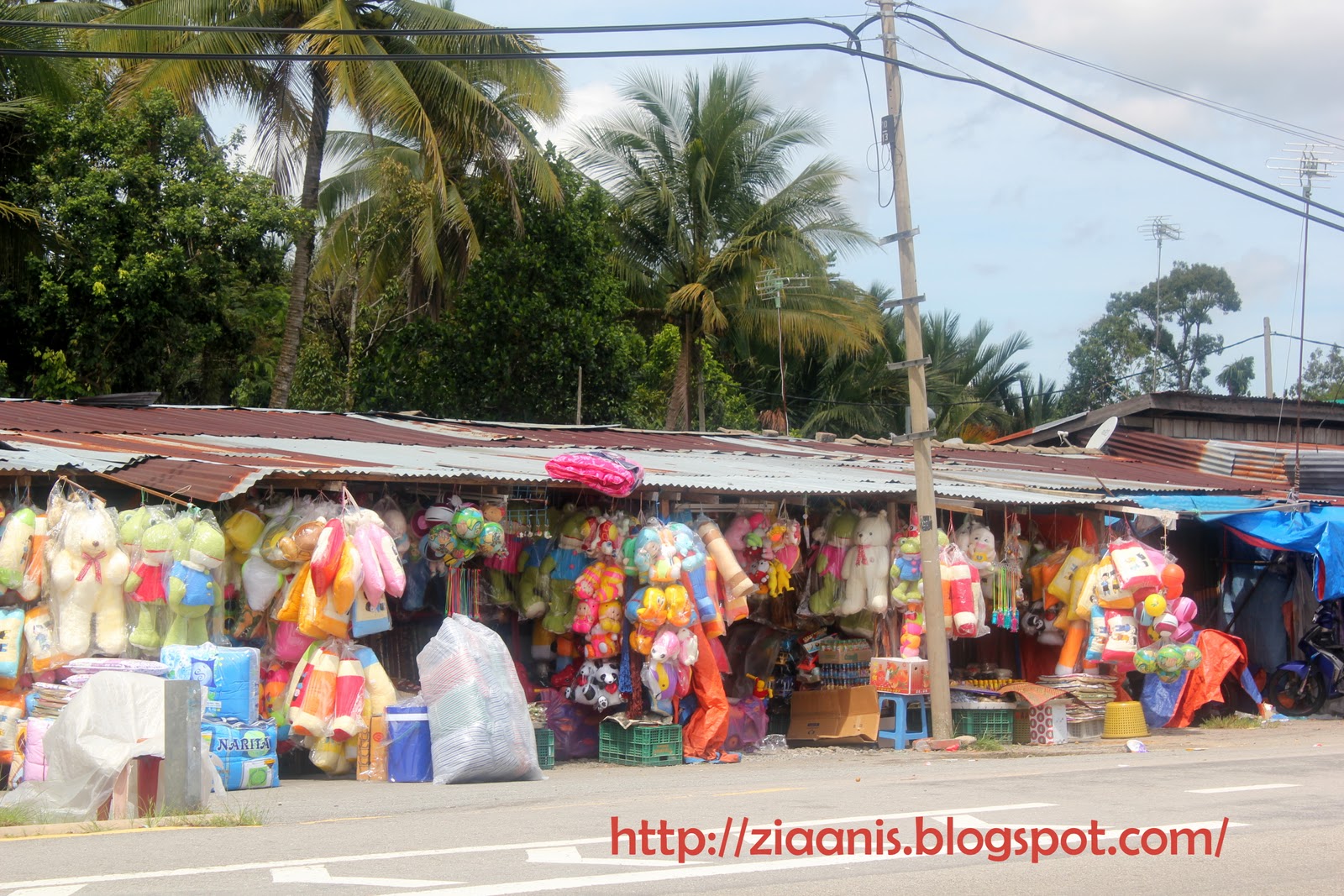 Zia Anis: Bukit Bunga, Tanah Merah, Kelantan
