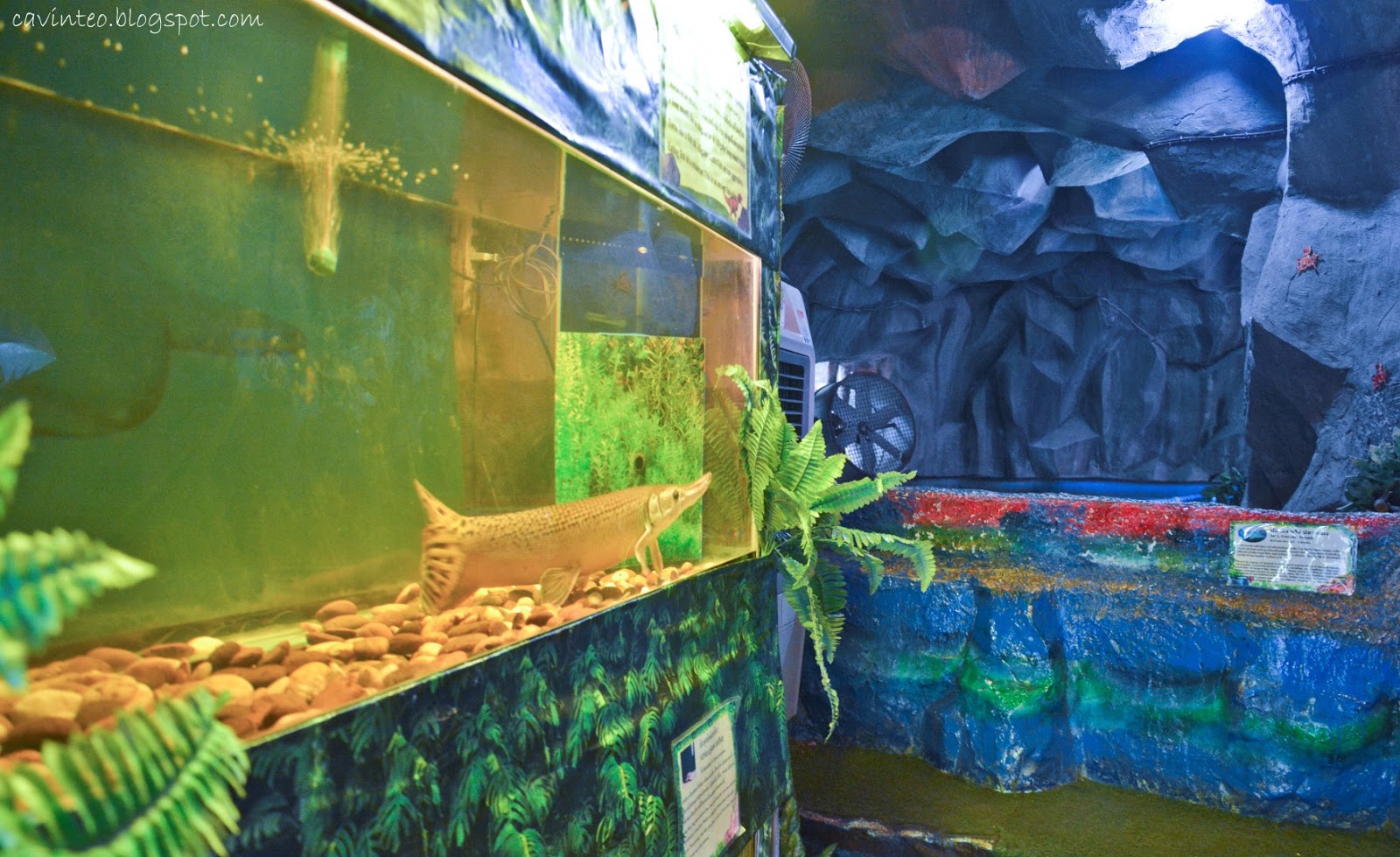 Entree Kibbles: Marine Monsters Exhibit @ Dusit Zoo [Bangkok, Thailand]