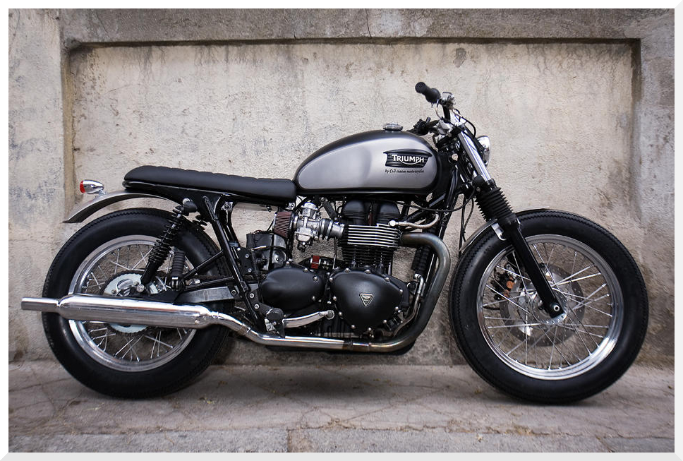 CaraibiRockers: Triumph Special