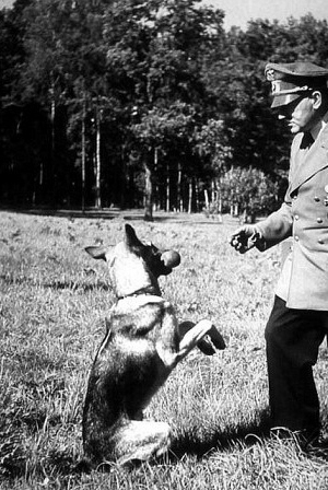 Famous Dogs in History: Blondi: Hitler's Dog
