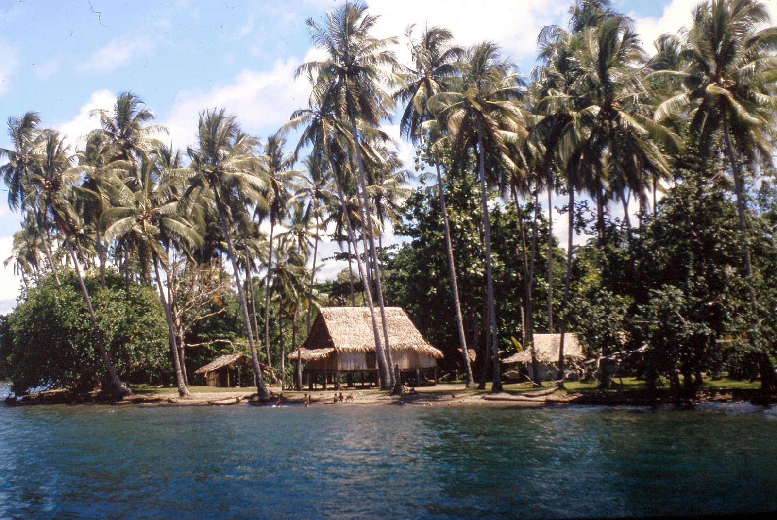 I Brake for Wildflowers!: Papua New Guinea 3: The Milne Bay Province