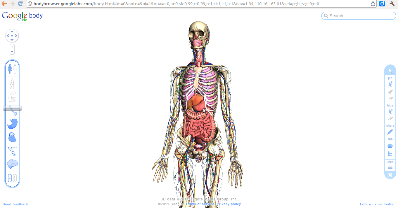 Belajar anatomi tubuh dan organ lainya dengan Google Body dari Google ...