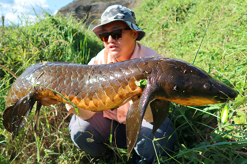 Tackle Source: THE MYSTICAL LUNGFISH!