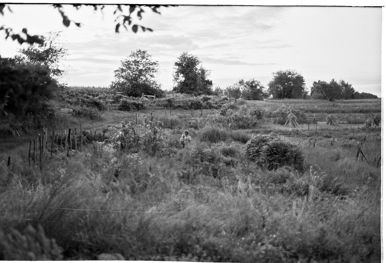 The Rag Blog: Michael James : Late Summer Sundown on the Karma Farm