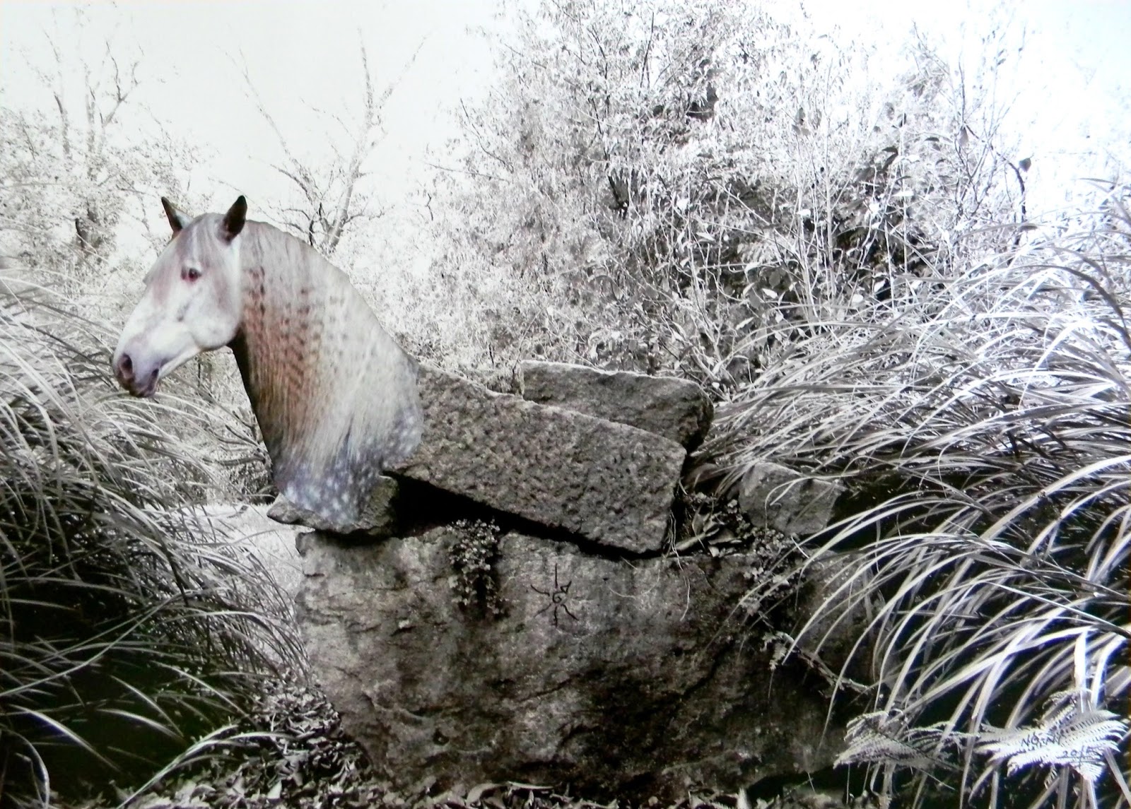 Noni's: Storse, stone + horse