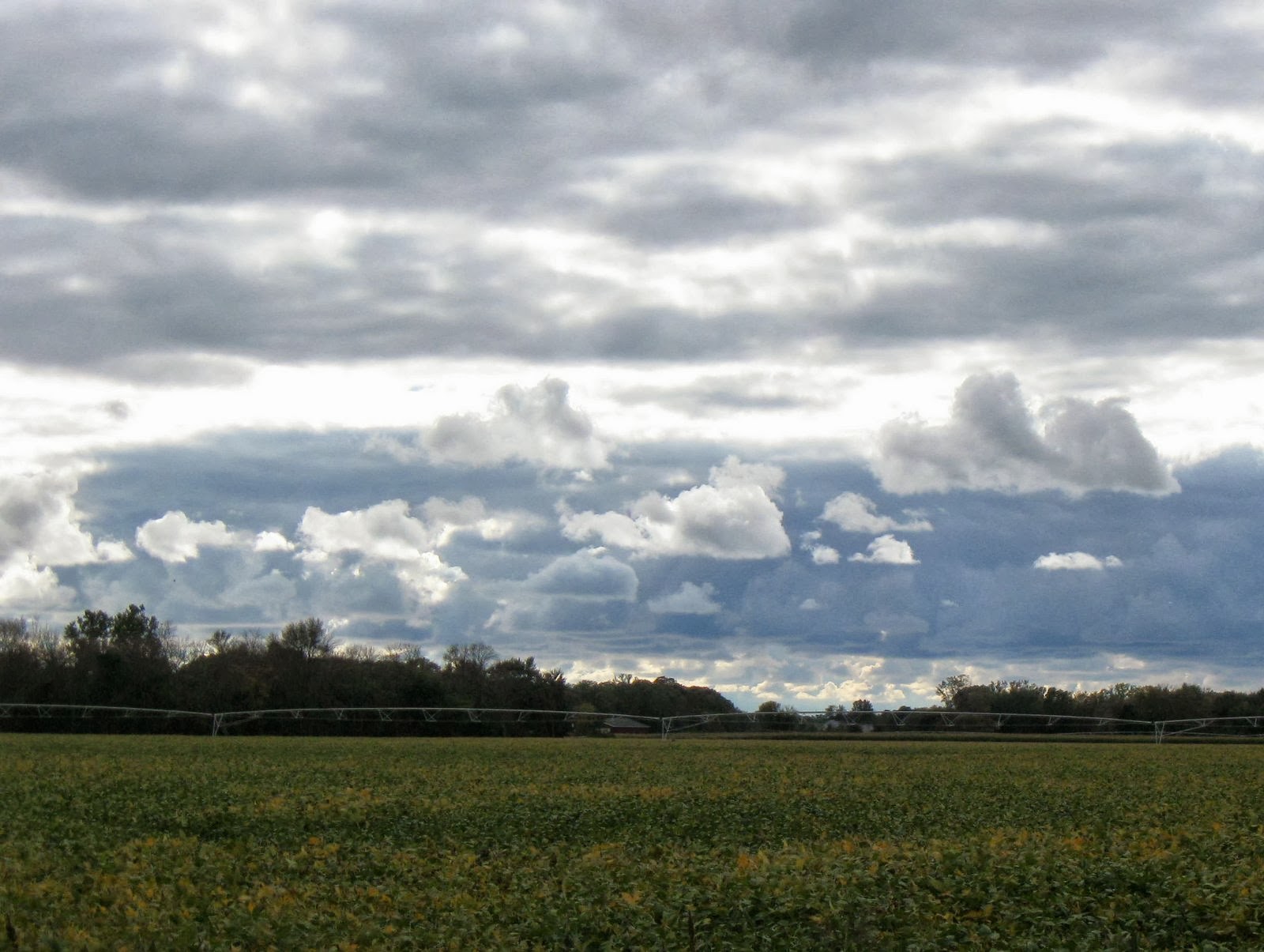 My Little Corner of the World: Fall Clouds