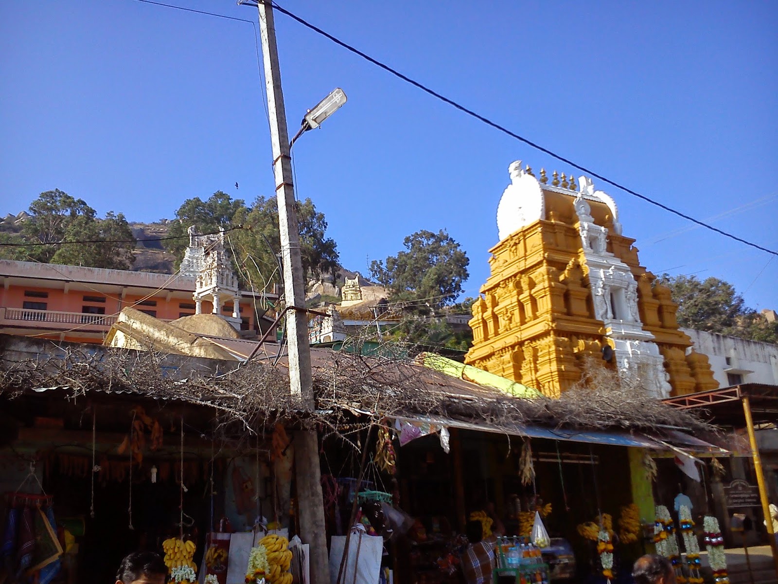 My Travelogue: Shivaganga Hill Trekking