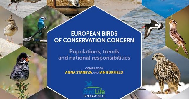 Bitacora Naturae: EUROPEAN BIRDS OF CONSERVATION CONCERN: POPULATIONS ...