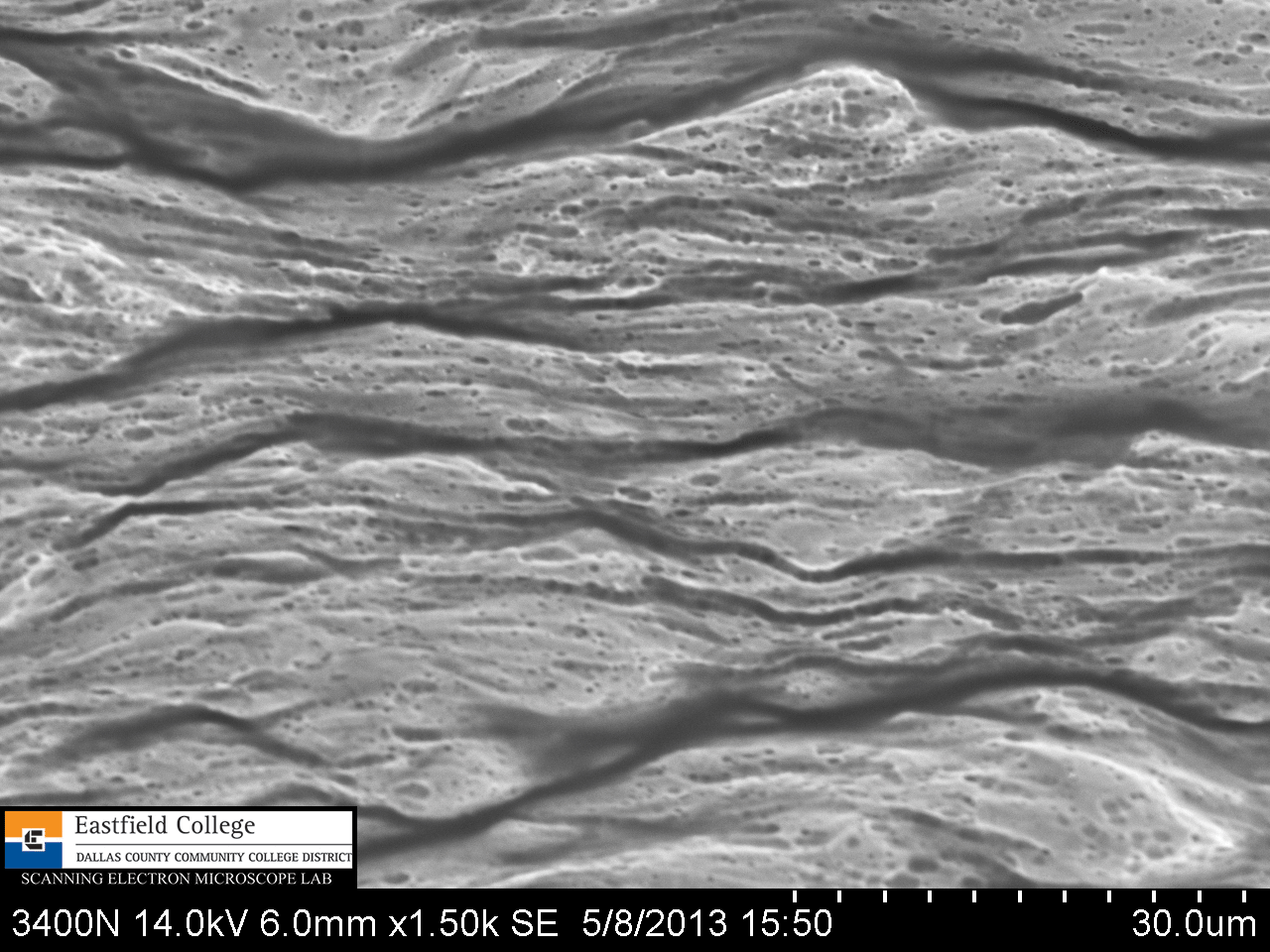Scanning Electron Microscope Blog: How Sharp is a Hypodermic Needle?