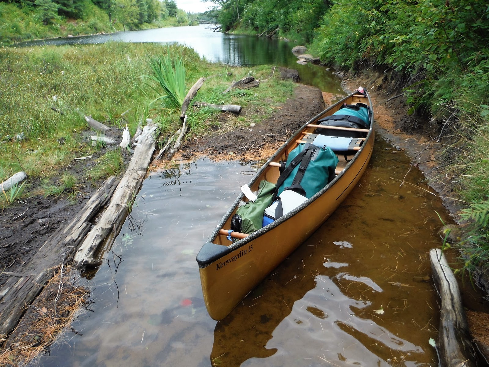 LOWS LAKE, BOG RIVER, HITCHINS POND paddling, camping, hiking.