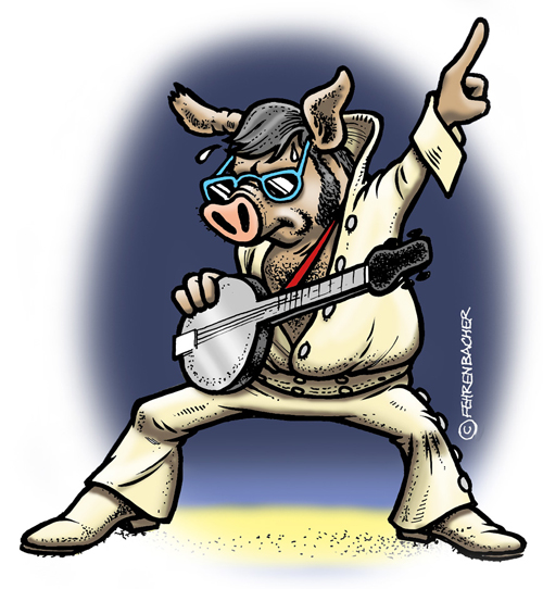 Dueling Banjo Pigs