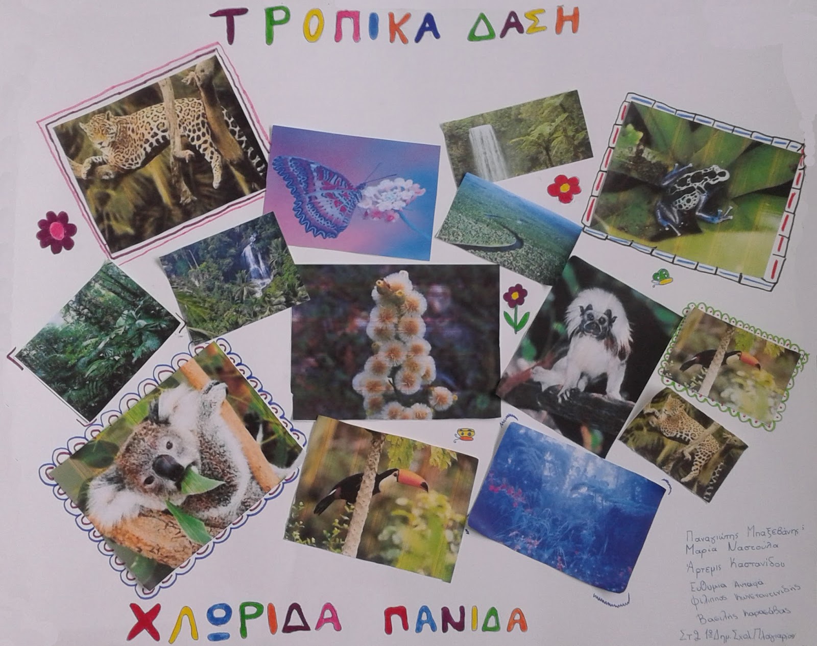 απ ΕΚΤΗ παρέα: Τροπικά Δάση