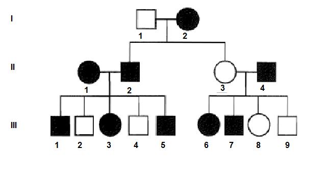 August 2013 ~ BIOLOGY for AIPMT