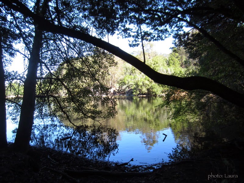 wild women walking: Tilden Regional Park | Lake Anza to Inspiration Point