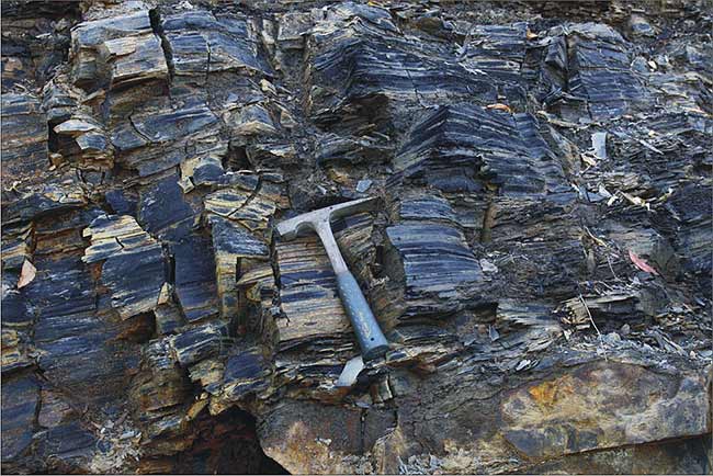 Learning Geology: Initial Organic Matter and Its Transformation