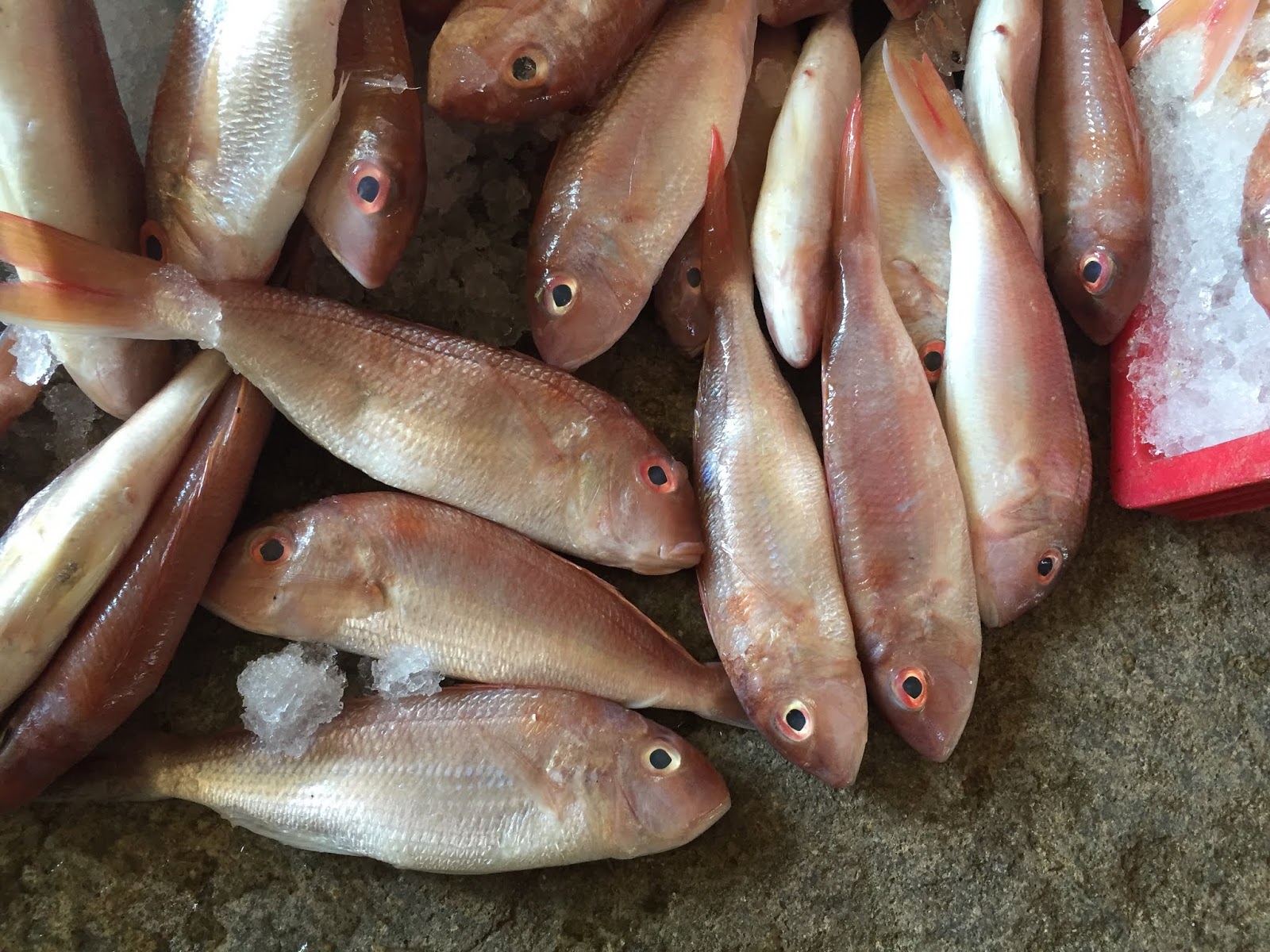 GOLDEN THREADFIN BREAM - VIET SEAFOOD CO.,LTD