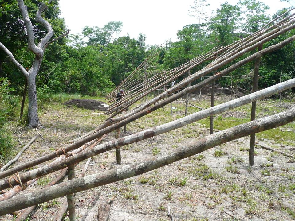 ARQUITECTURA INDÍGENA: CONSTRUCCION DE UN SHABONO YANOMAMI or "Making ...
