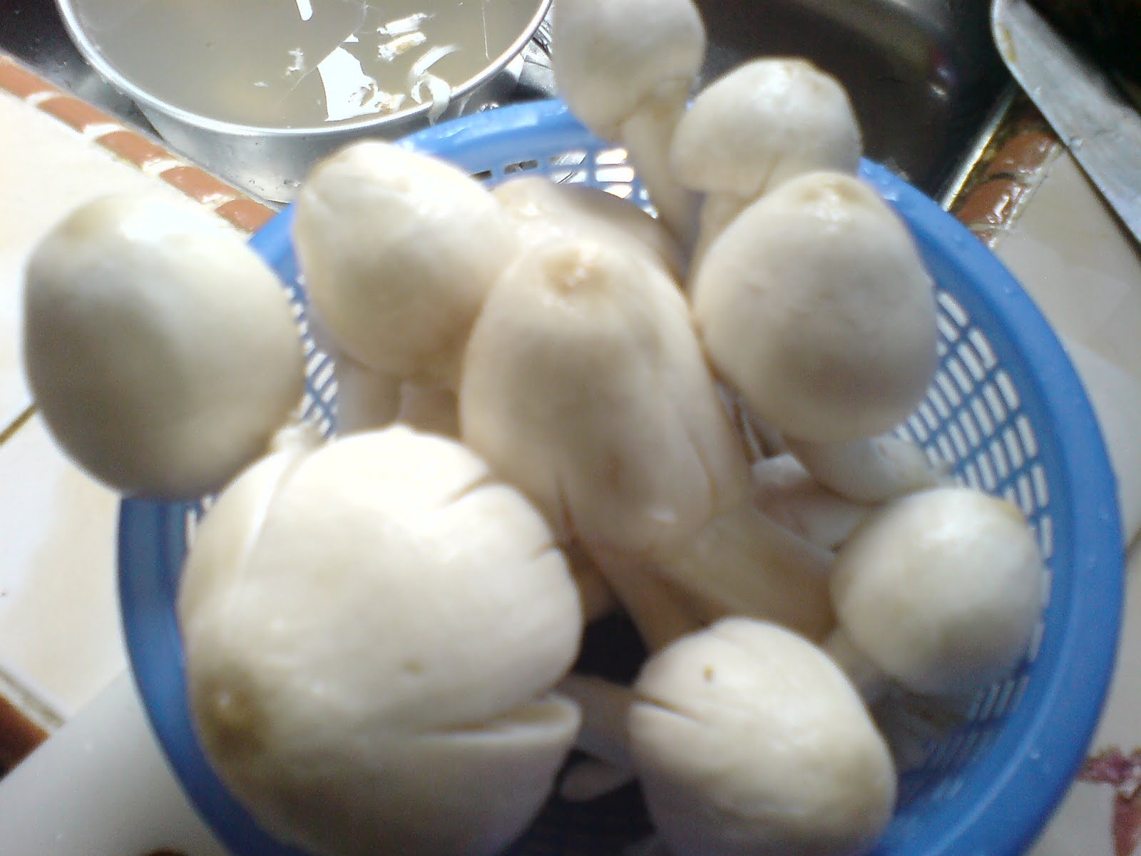 Cendawan Busut, Selamat Dimakan Atau Beracun?