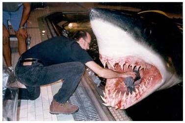 Cool Ass Cinema: An Interview With Special Effects Make-up Artist ...