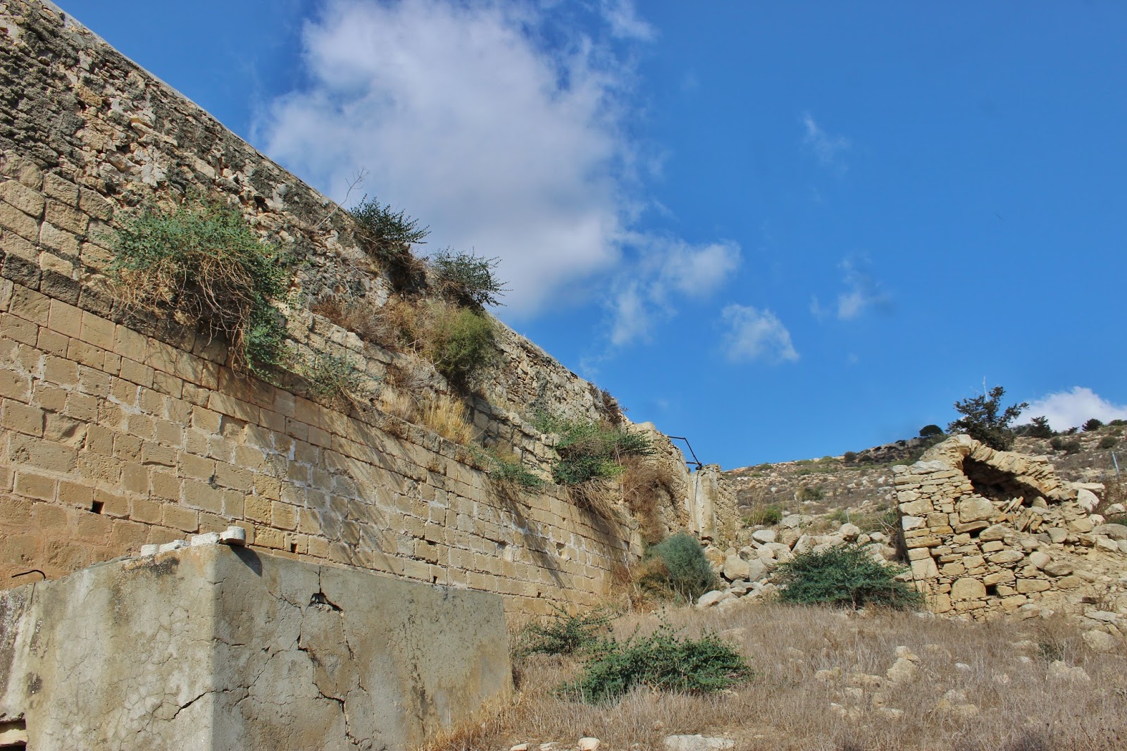 Biodiversity of Cyprus by NGO Protection of the Natural Heritage and ...