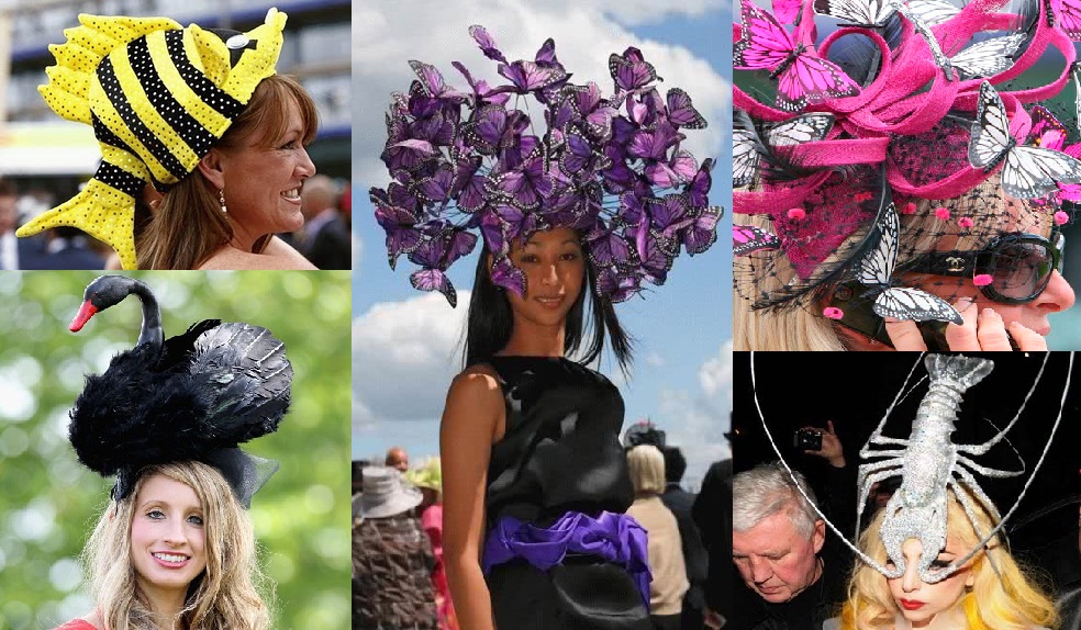 Topi-topi Paling Unik di Dunia - Kompasiana.com