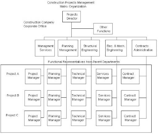 Organic: Matrix Organization
