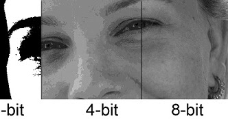 Image File Size for Dummies | The Antisocial Network