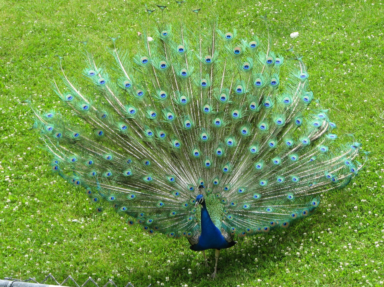 On the Bright Side: The Most Beautiful Things