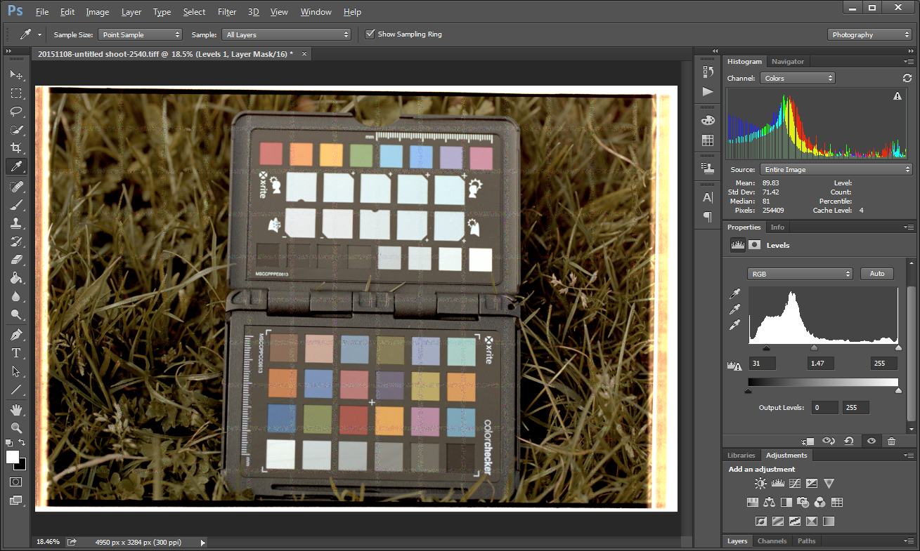 Matt's Photography Tips: Color Negative Film Processing Using Photoshop