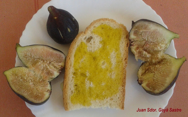 AL FUM DE LA XIMENERA : BACORES / BREVAS