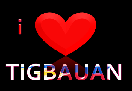 Discover The Beauty of TIGBAUAN