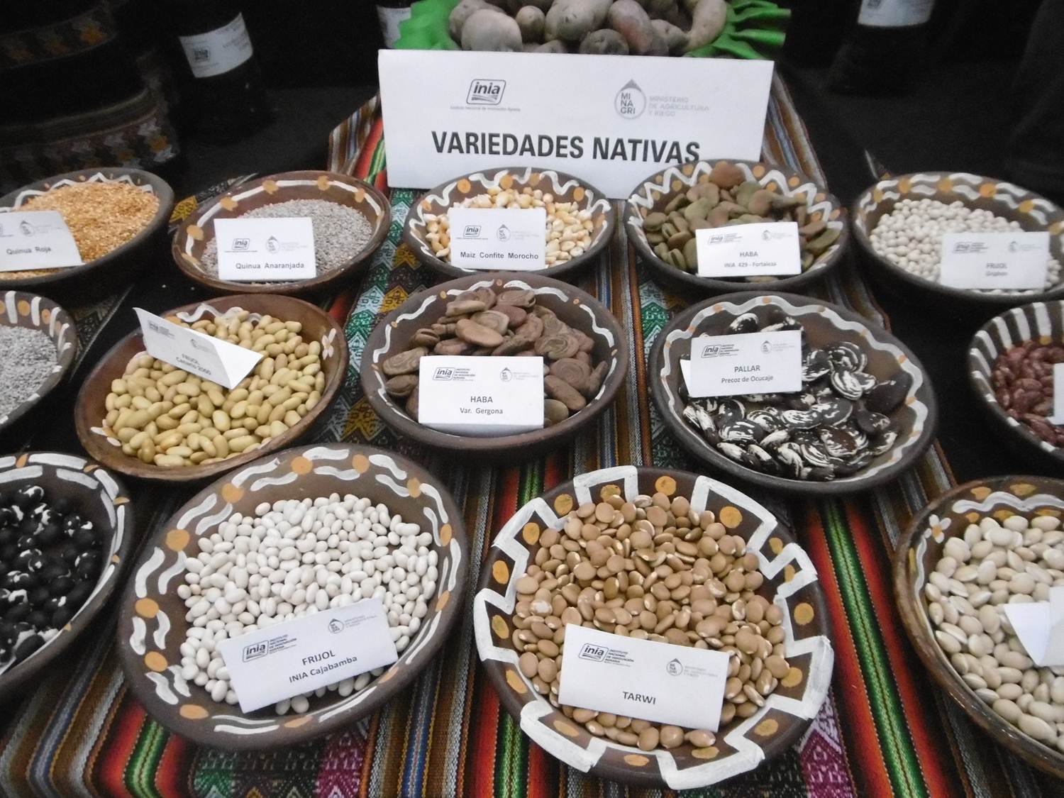 ALTERNATIVA ECOLÓGICA: MITOS Y VERDADES SOBRE COMO GUARDAR SEMILLAS