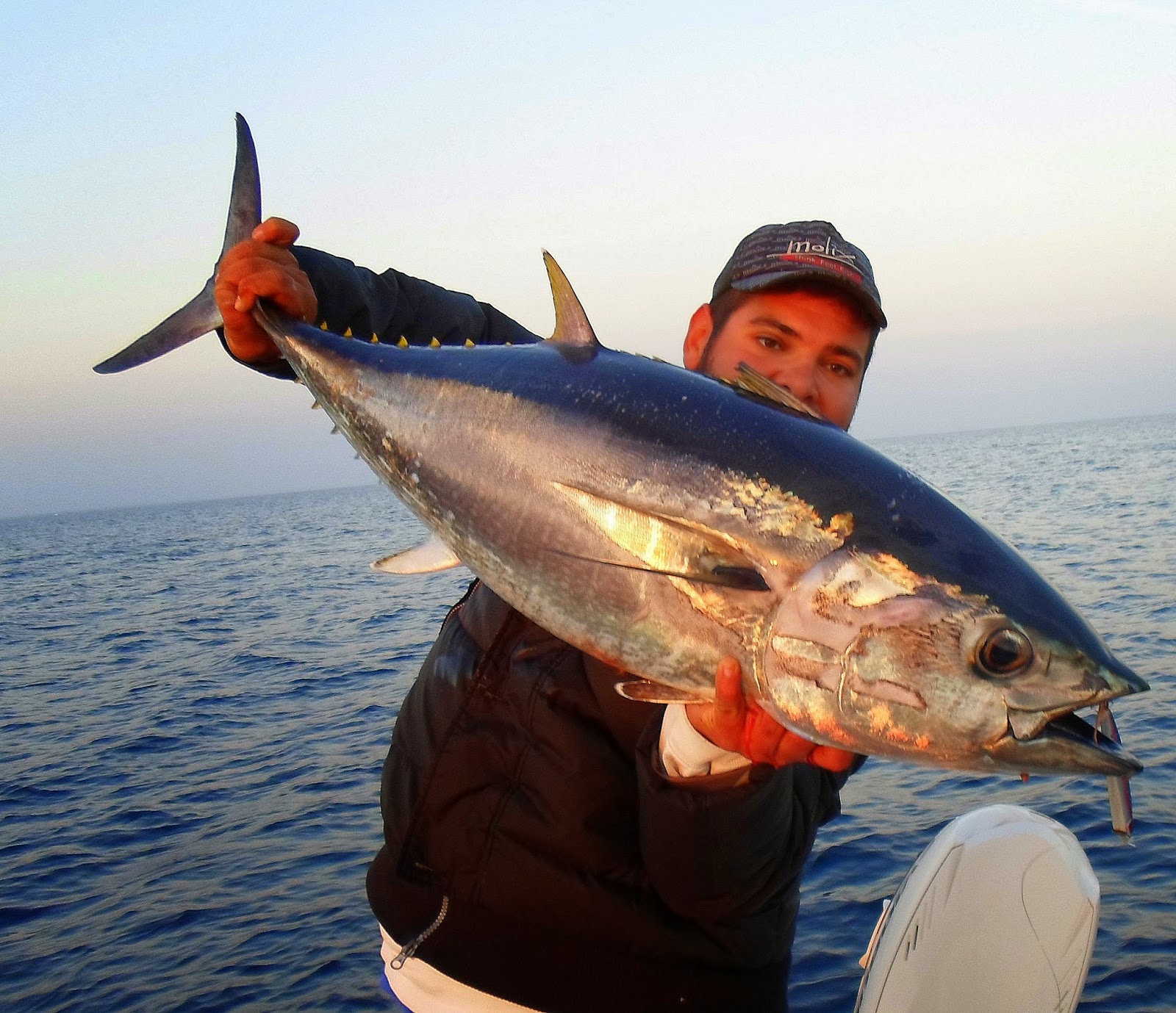 IL BELLO DELLA PESCA: Spinning al tonno rosso, I "missili" del mediterraneo
