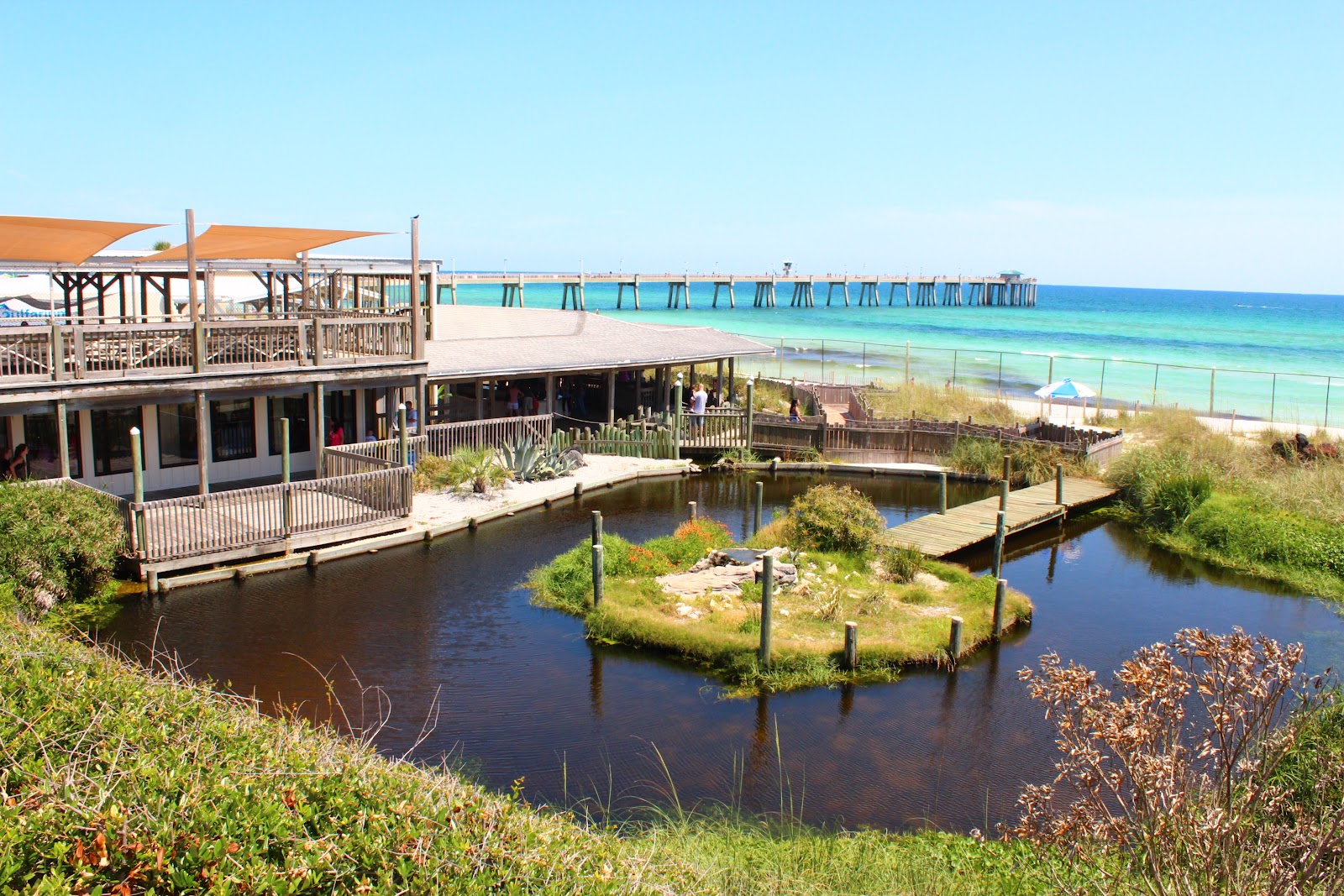 Family fun in Pensacola: Gulfarium Marine Adventure Park