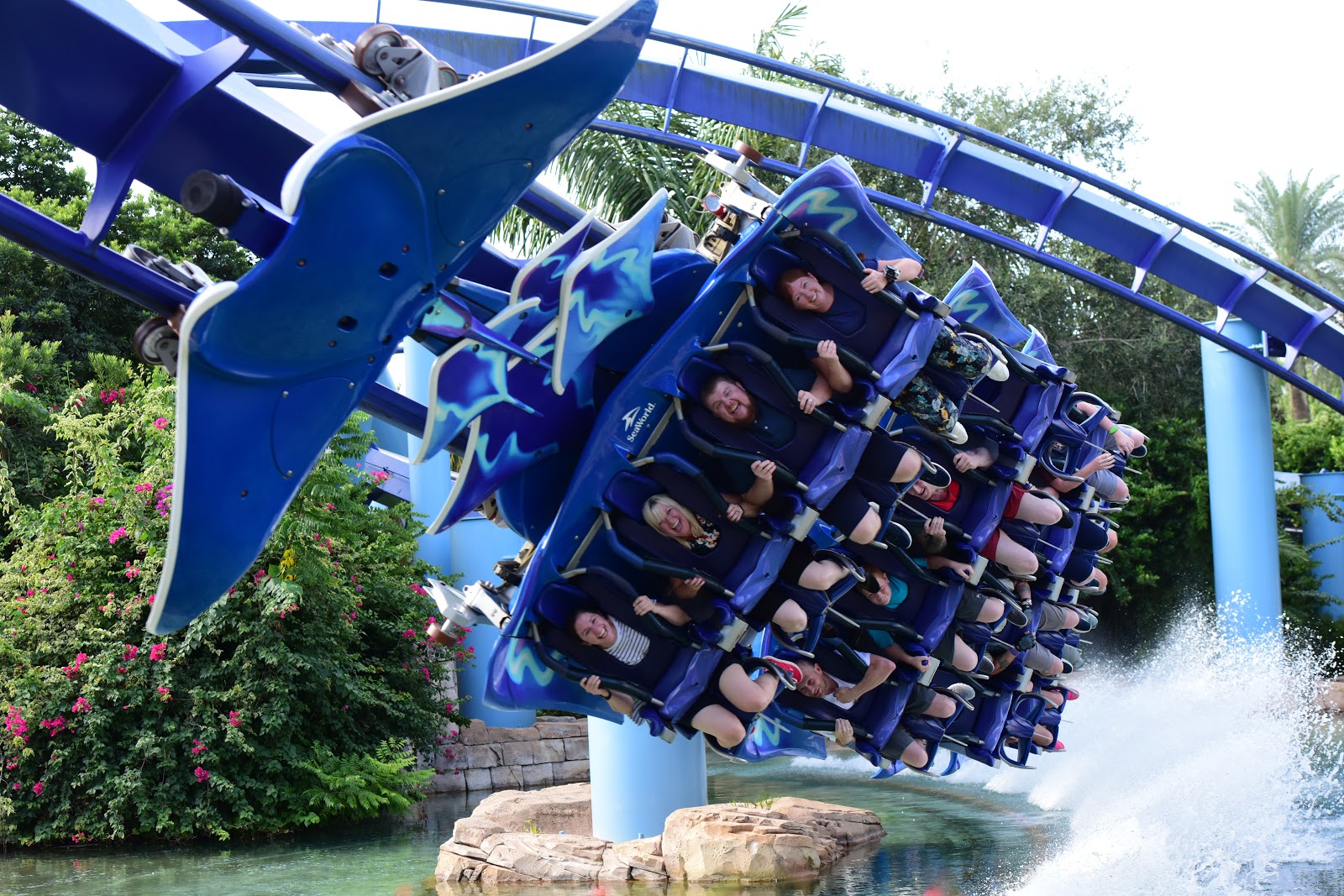 Close-up Animal Encounters and Rides to Enjoy at The SeaWorld Parks ...