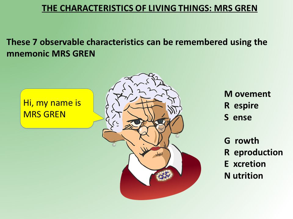 Room 1 2019 @ Ruapotaka School: MRS GREN