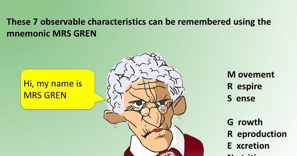 Room 1 2019 @ Ruapotaka School: MRS GREN