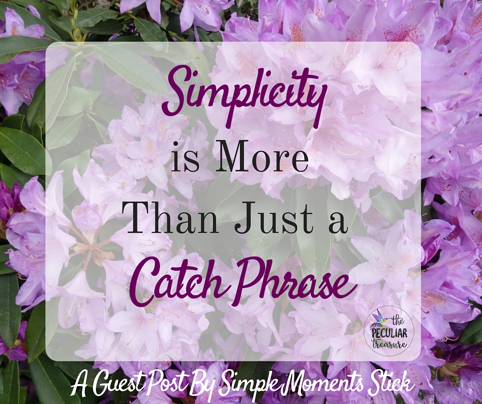 The Peculiar Treasure: Simplicity is More Than Just a Catch Phrase (A ...