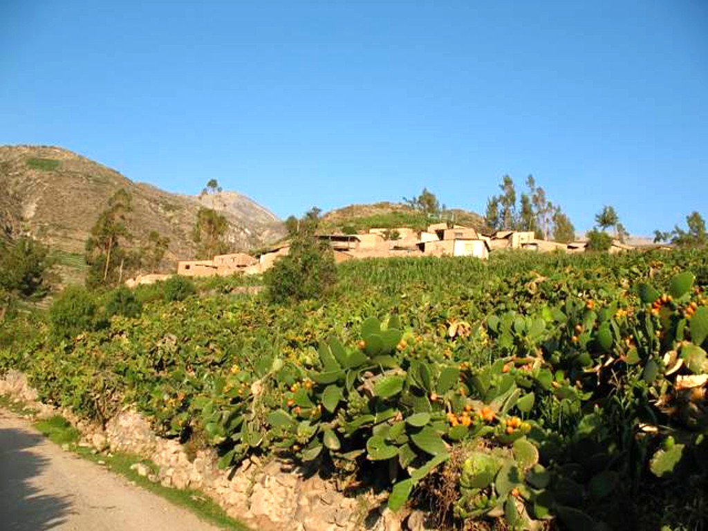 TARATA ~ Riqueza Turística del Peru y del Mundo
