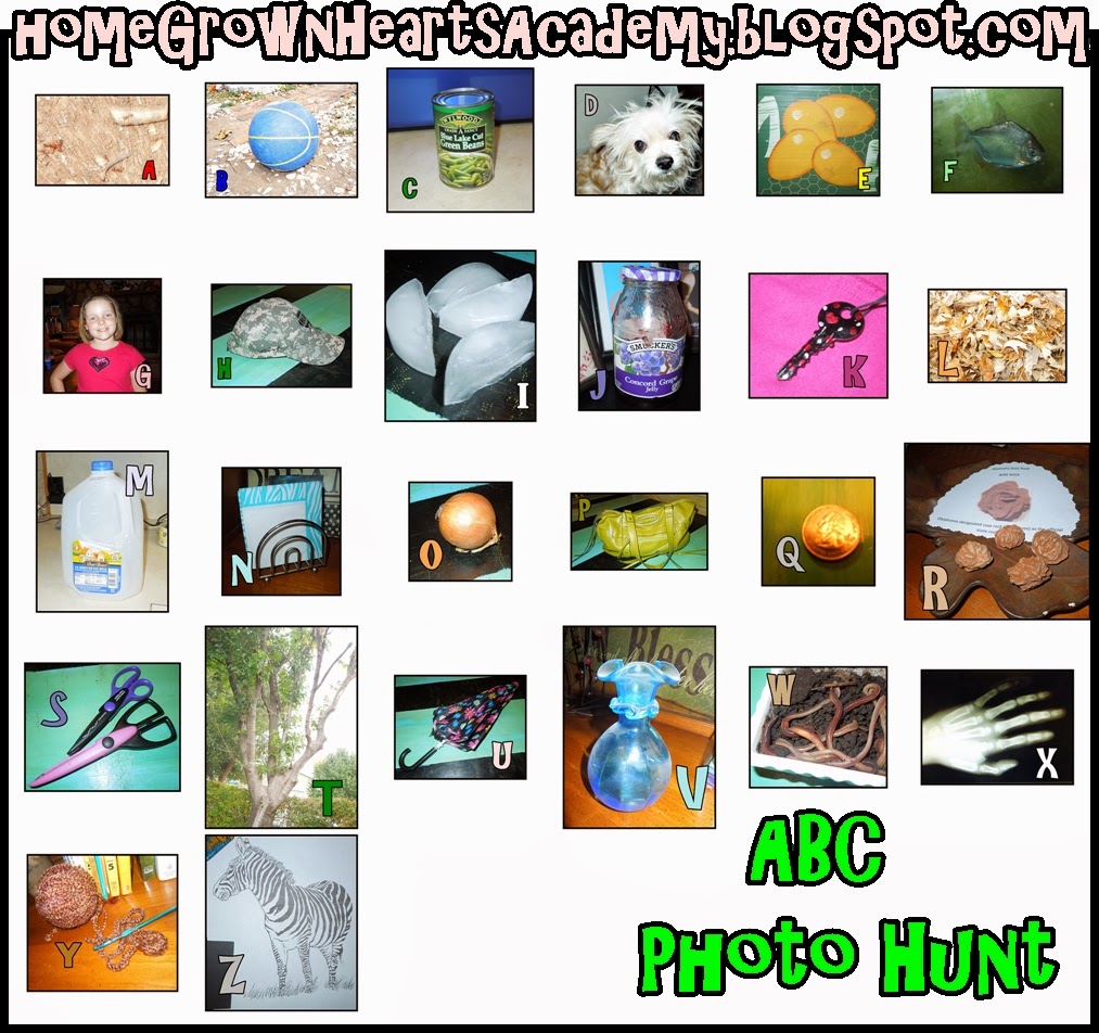 Home Grown Hearts Academy Homeschool Blog: Tuesday - ABC Photo Hunt