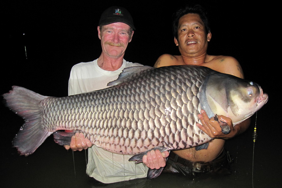 Big Fishes of the World: GIANT SIAMESE BARB CARP (Catlocarpio siamensis)