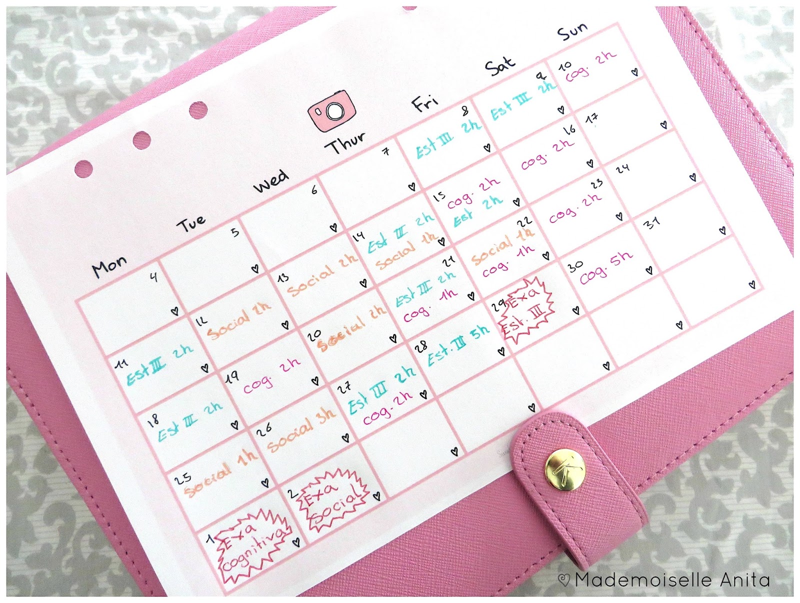 Mademoiselle Anita: Planning de révisions