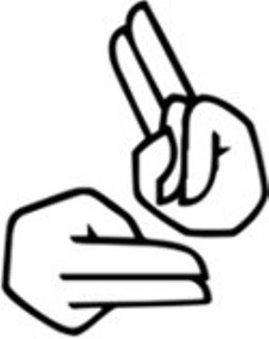 Ruscombe Green: Petition: Save BSL Interpreter Service for Glos Deaf