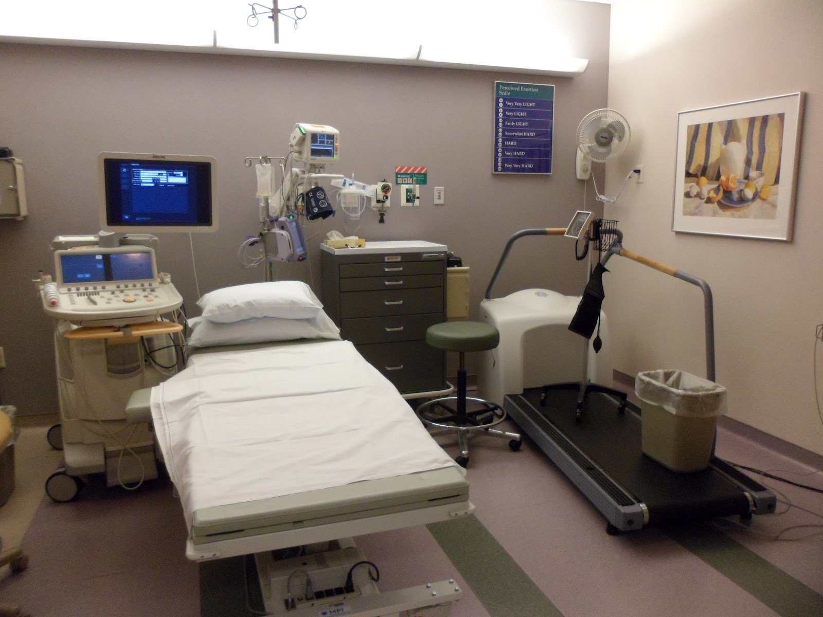 CVT Mohd Farid: The Sonographer Attachment Programme At USA Report ...