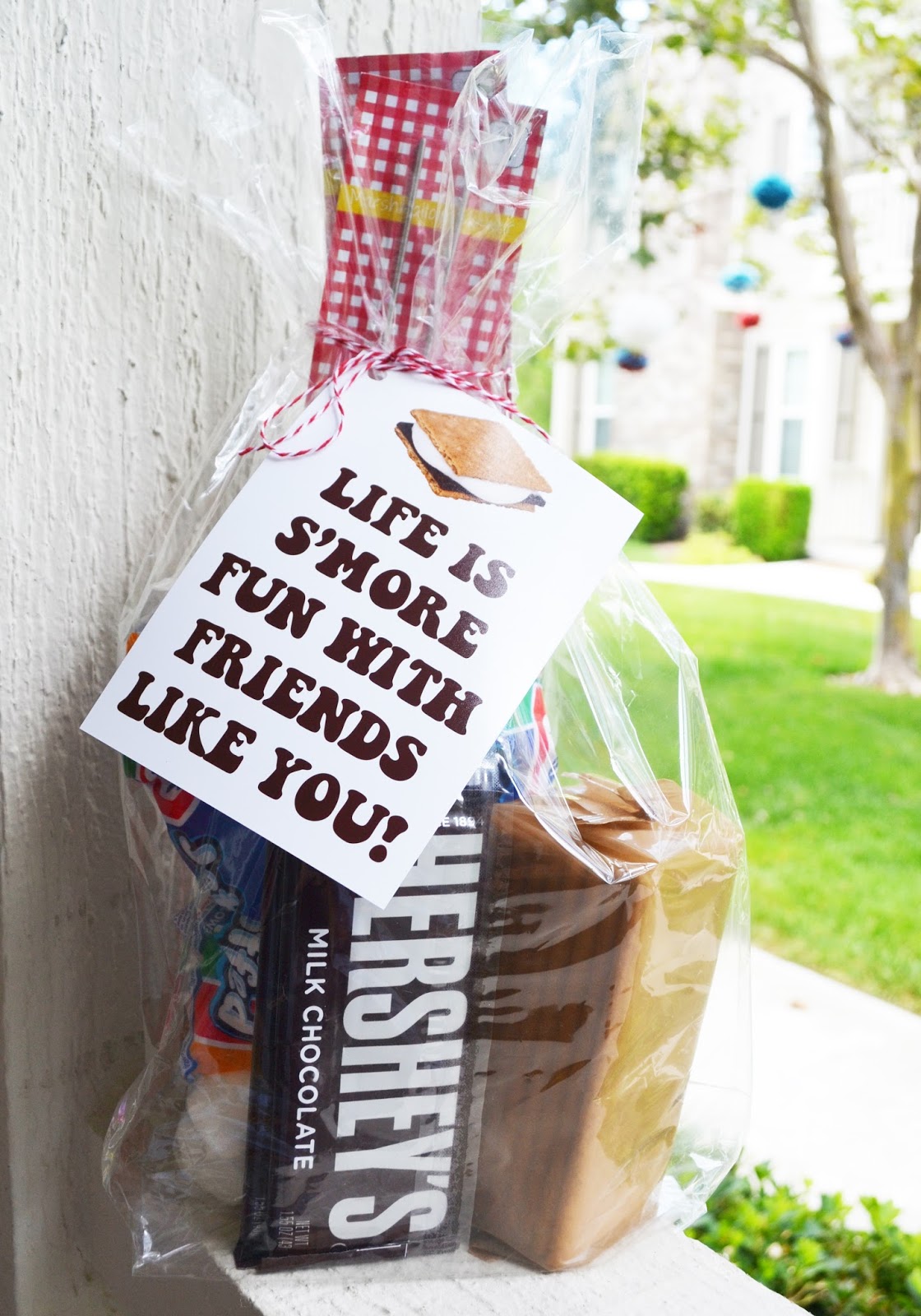 Polkadots on Parade: S'mores Goodie Bag with Free Printables!