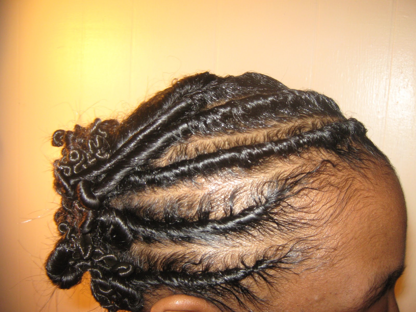 Live Love Natural Beauty: Protective Style: Stuffed Twists
